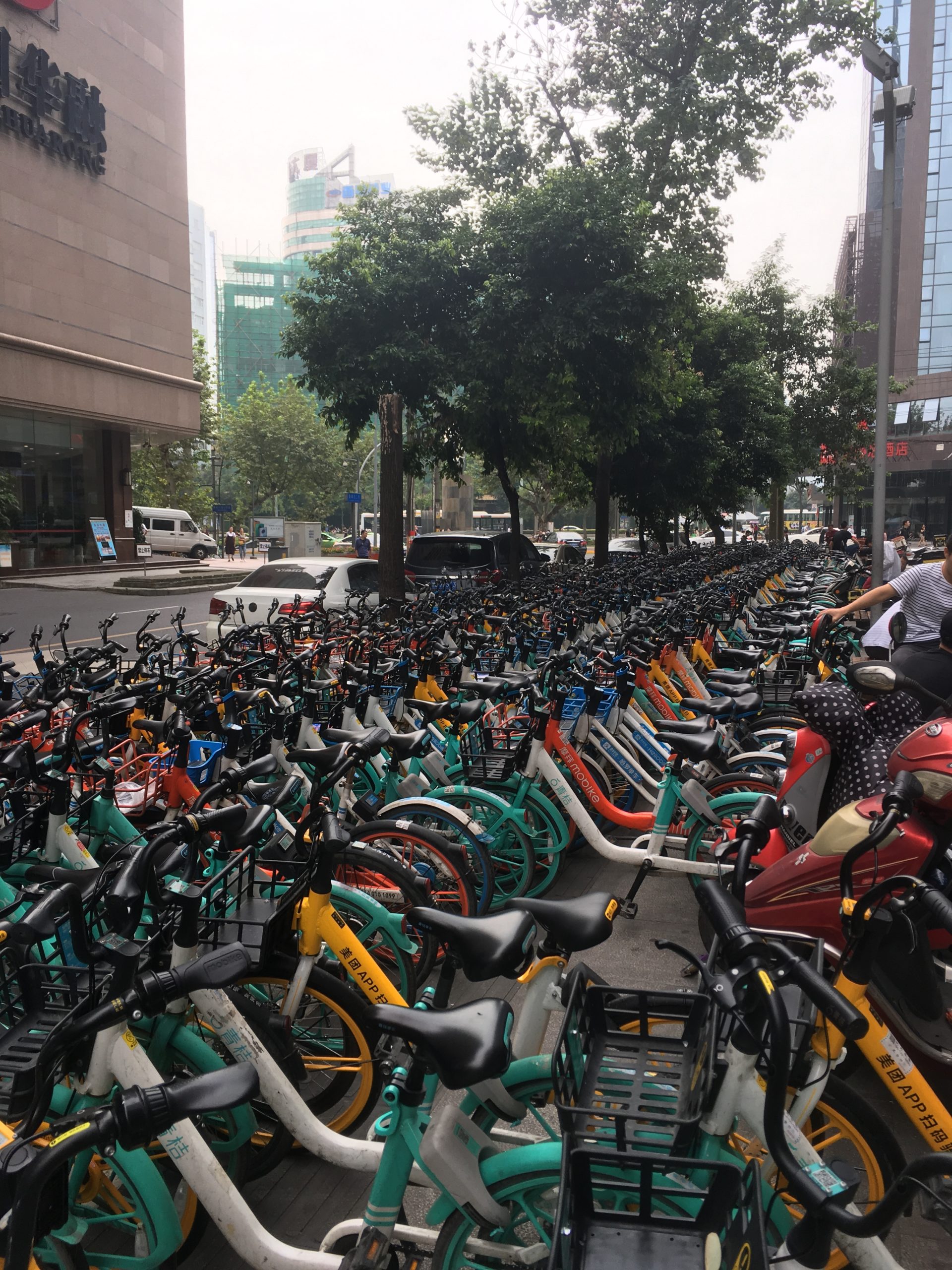 The Downfall of China’s Shared Bikes | Dao Insights