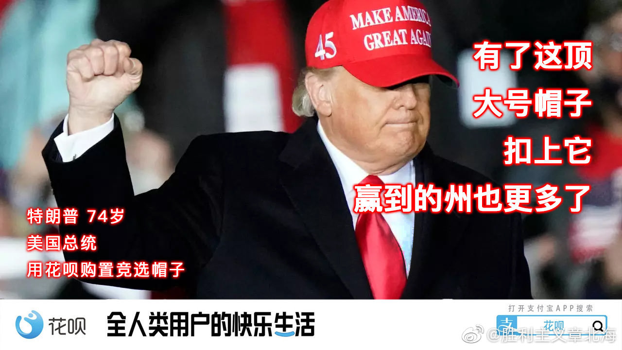 Chinese Netizens Respond to "Entertaining" US Election | Dao Insights