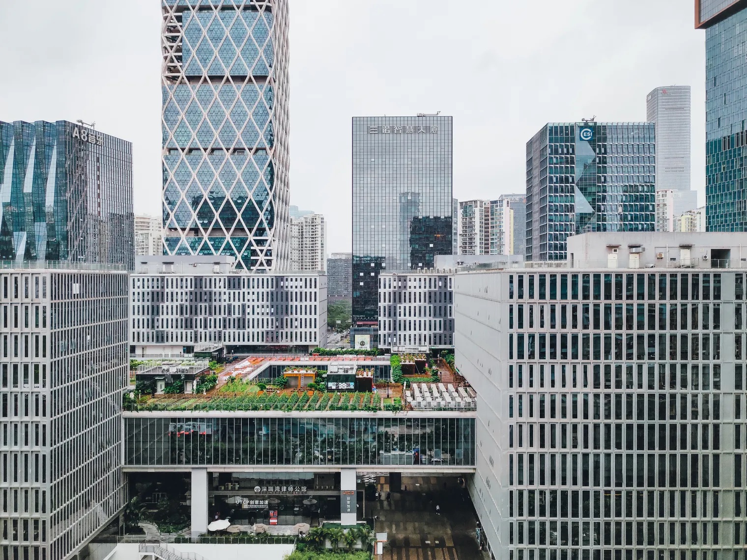 Why are Rooftop Gardens Taking Off in China? | Dao Insights