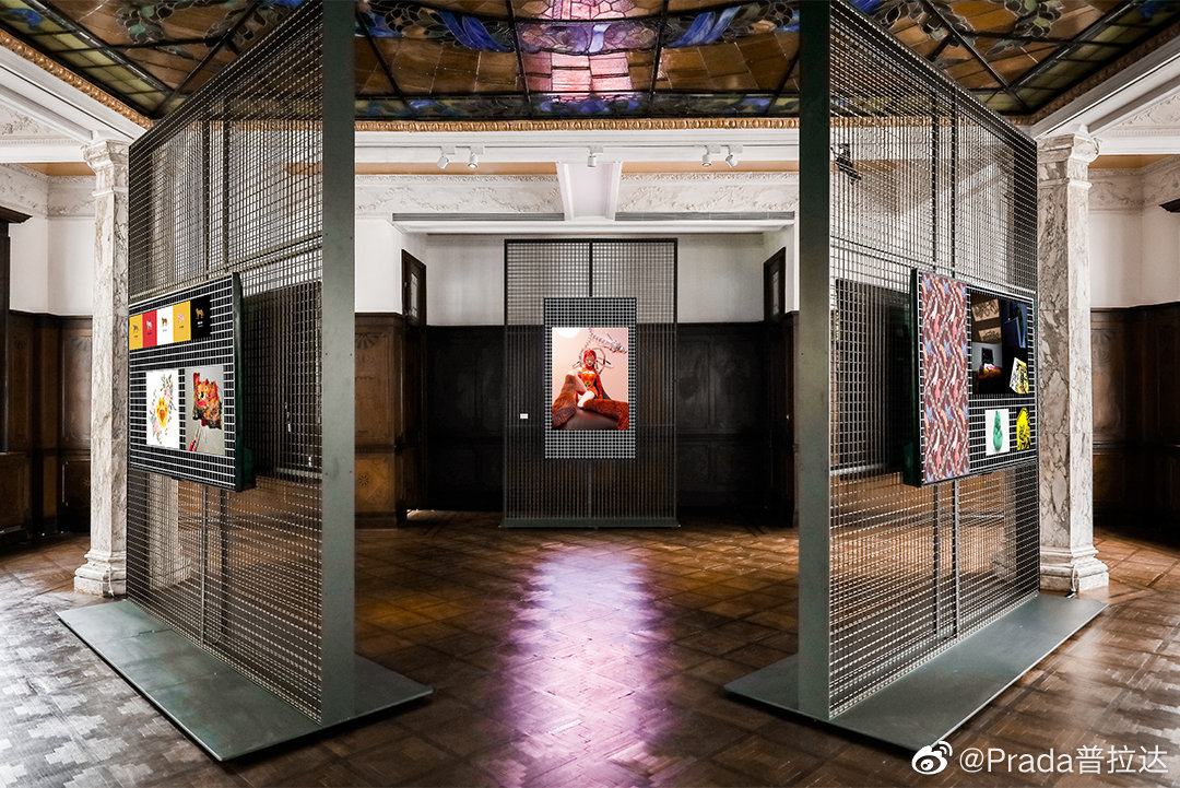 Prada launches exhibition for tiger protection campaign winners