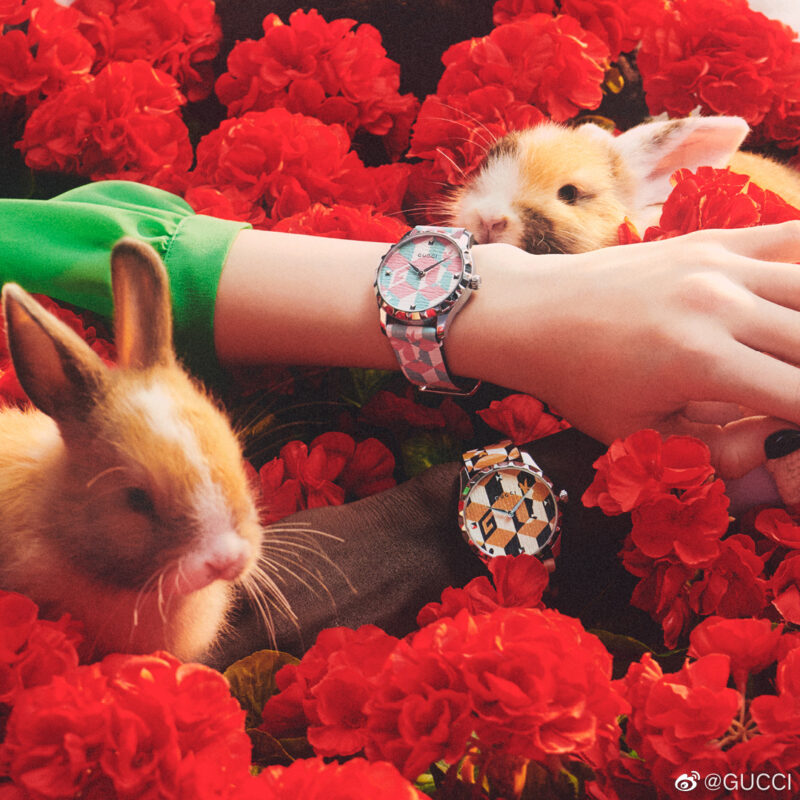 Gucci rabbit felt products removed amid animal rights controversy
