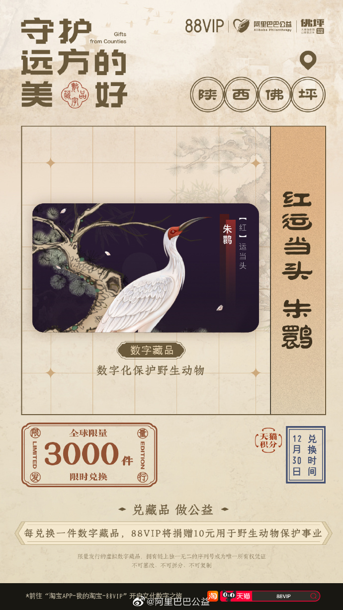 Alibaba Foundation issues NFTs calling for rare animals protection