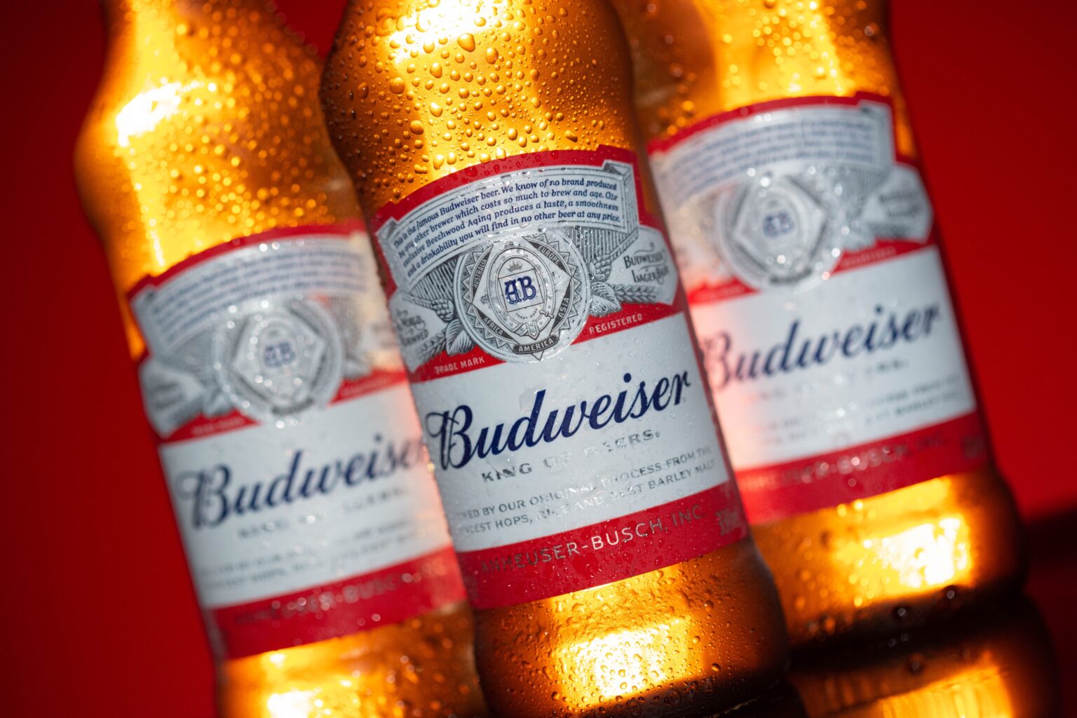 Budweiser China debuts first organic beer | Dao Insights