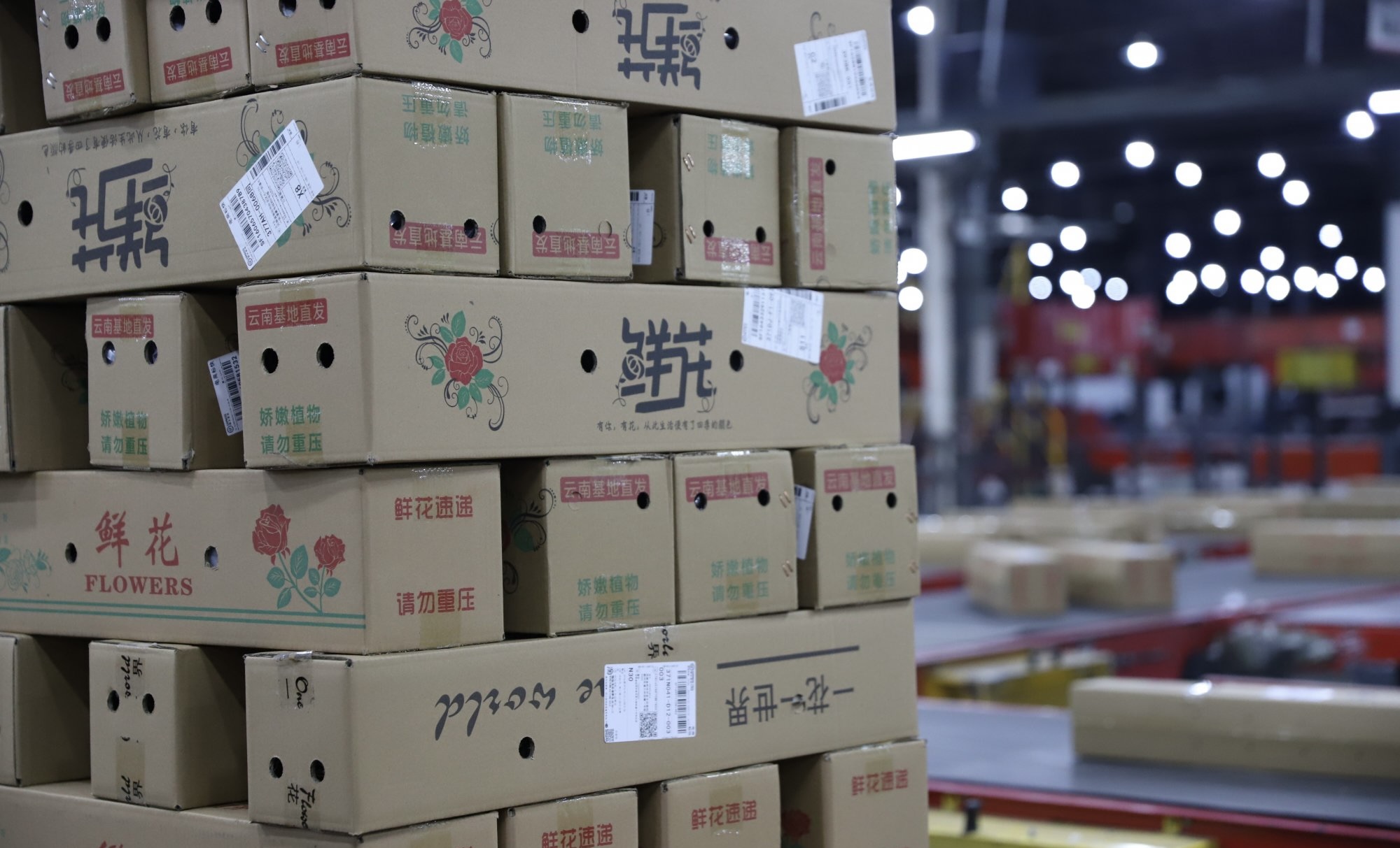 Send flowers: China delivers its 120 billionth parcel of the year