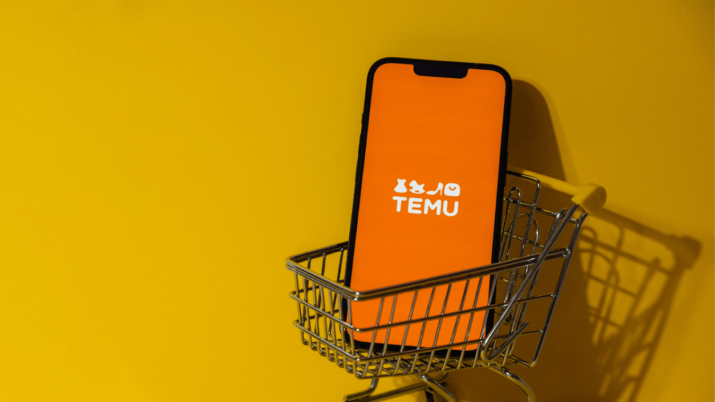 Temu becomes world’s second most visited retail site