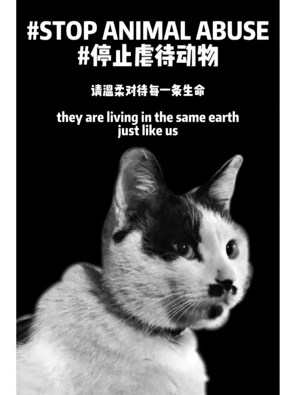 A new era for animal protection in china?