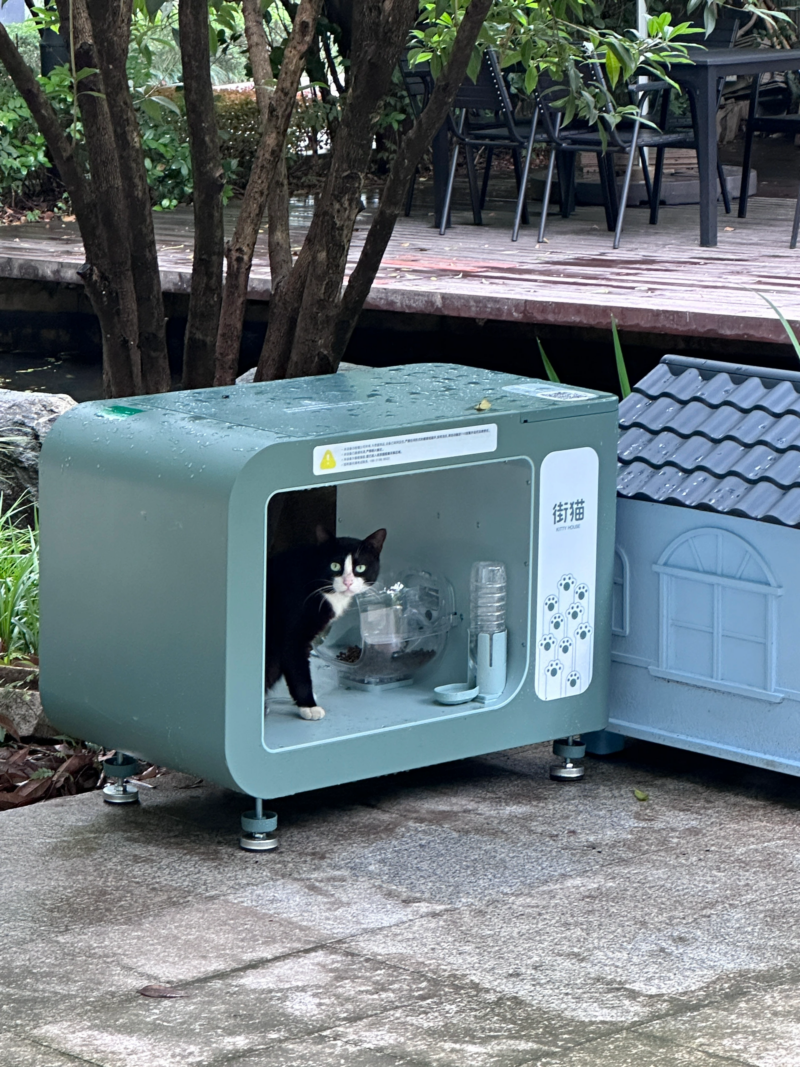 A new era for animal protection in china?