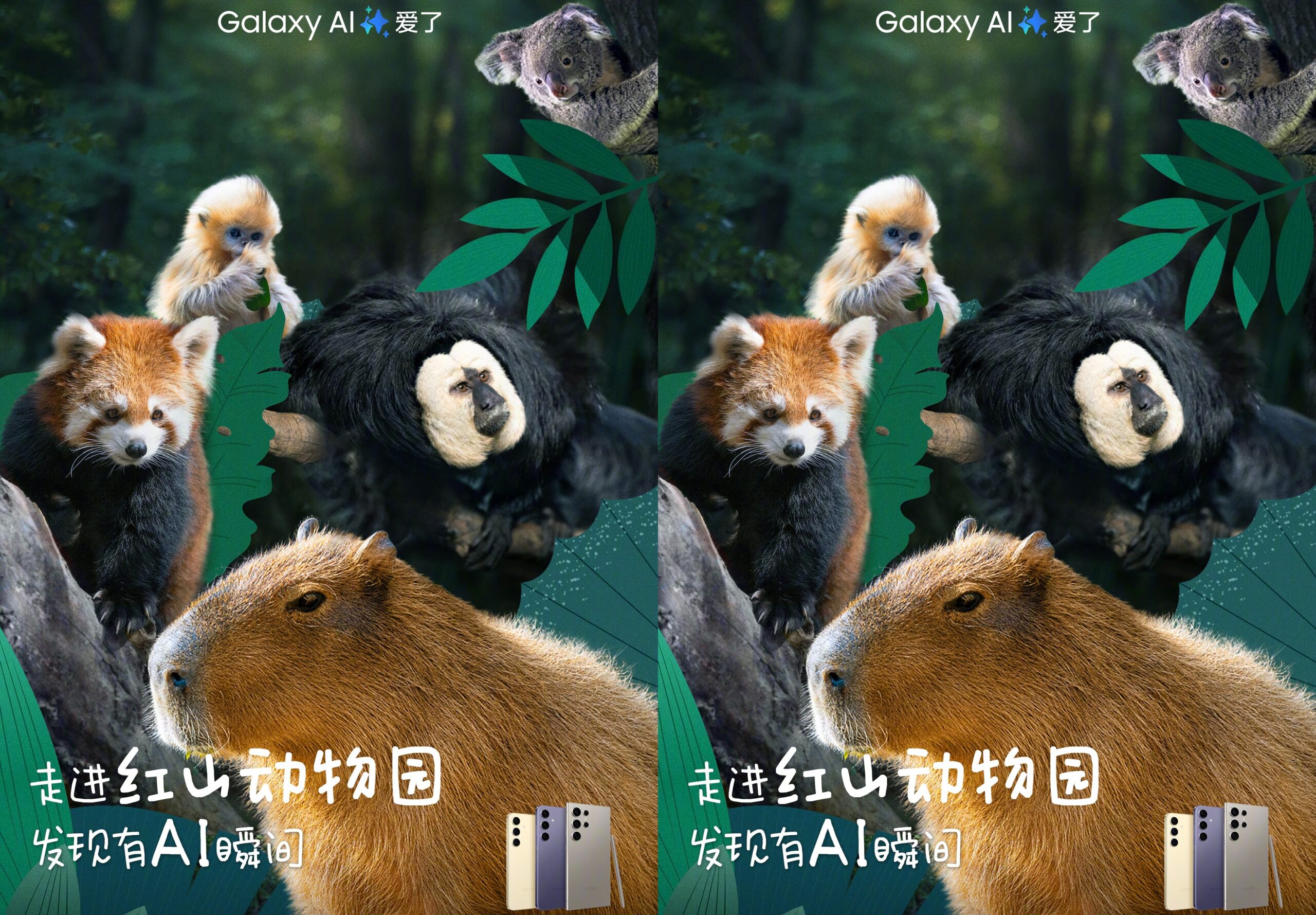 Samsung brings AI smartphone to Hongshan Forest Zoo