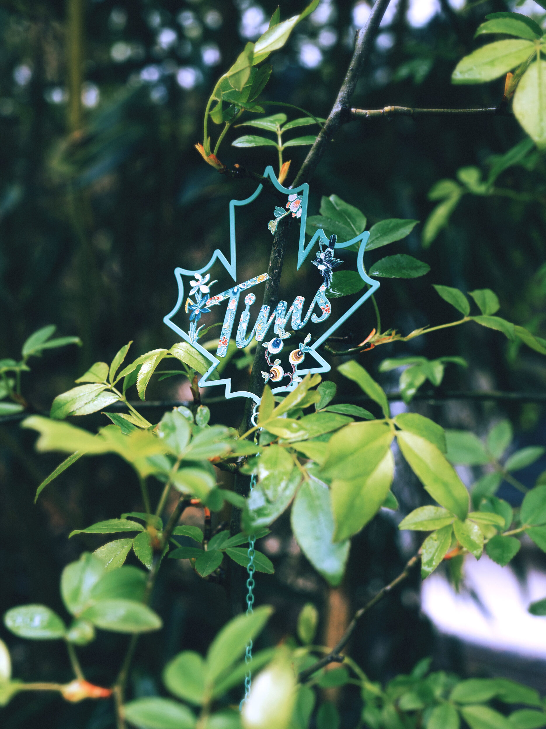 Tim Hortons goes guochao in collaboration with Suzhou Museum