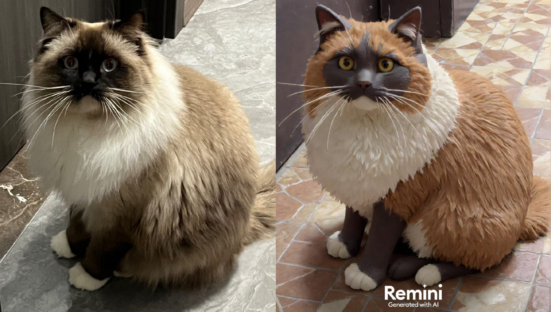 Clay-filter makes Remini the new popular AI photo editor app in China