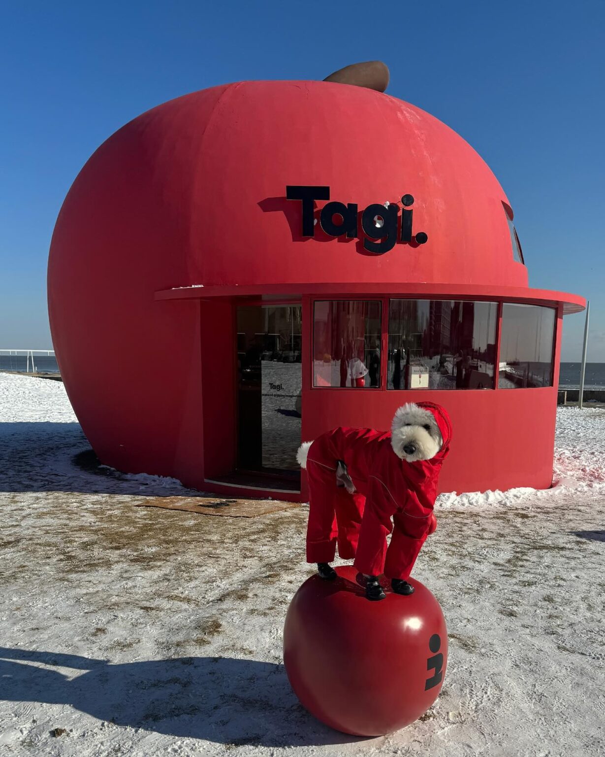 The cult following of designer lifestyle brand Tagi., explained