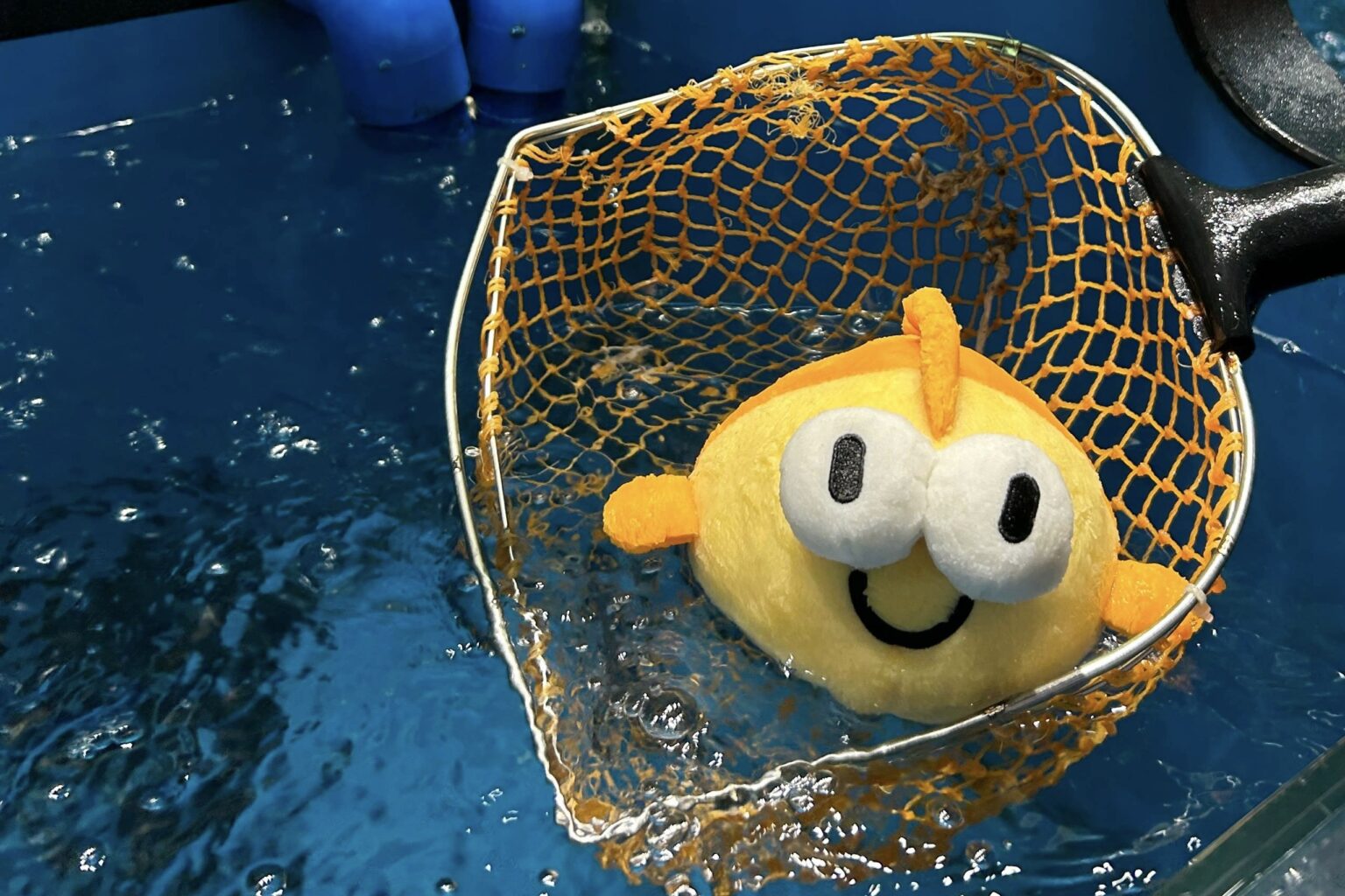 Beyond an e-commerce platform: Goofish inspires youth to pursue side jobs