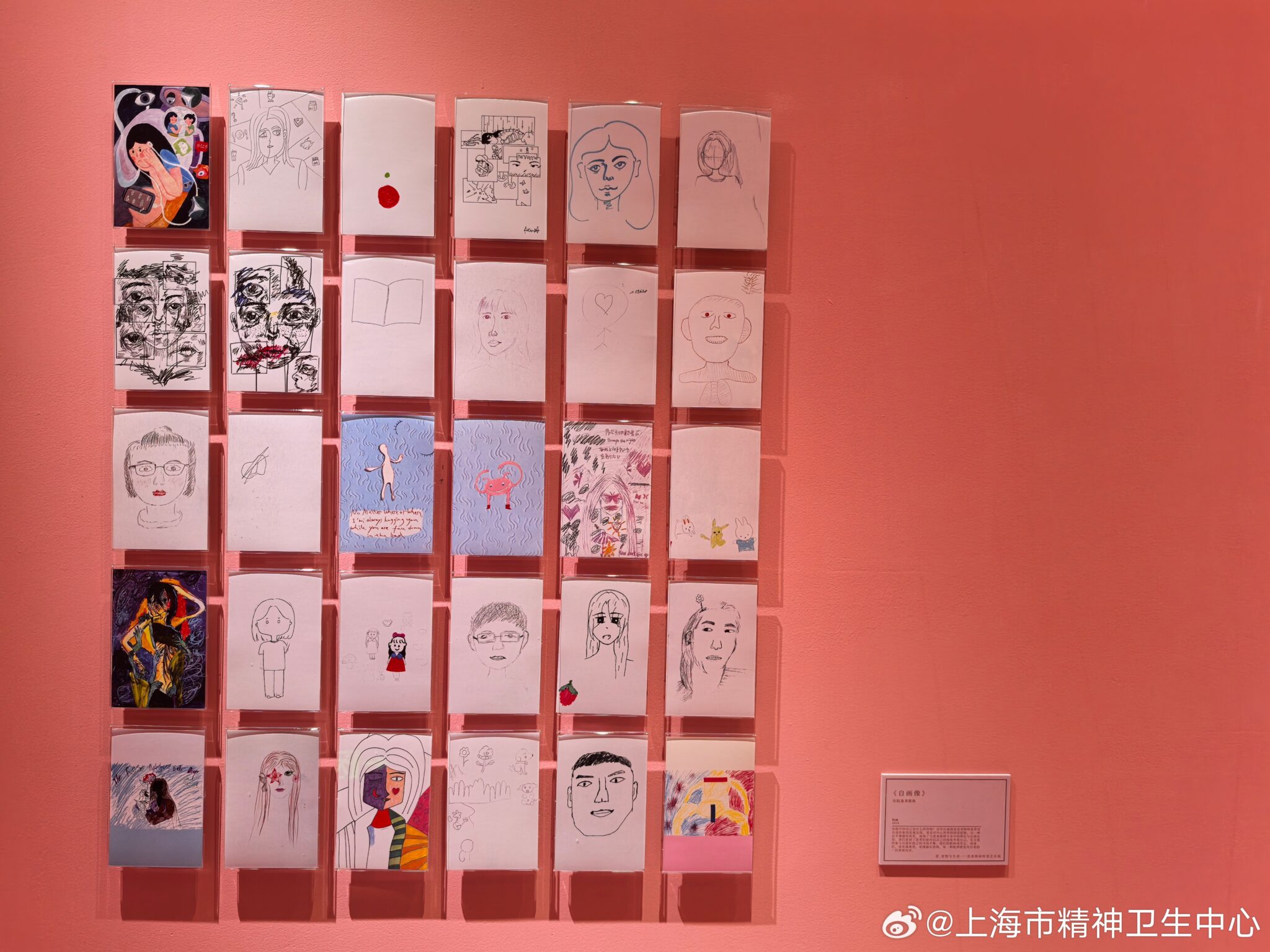 Shanghai Mental Health Center hosts exhibition for eating disorders