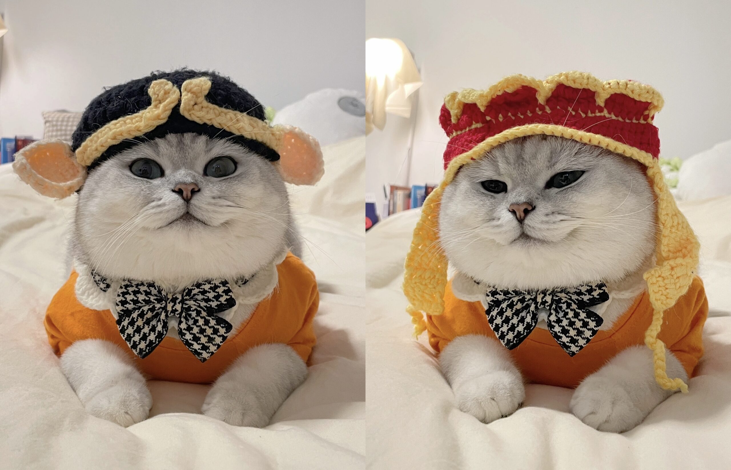 Move over human streamers? “Evil silver shade” takes centre stage