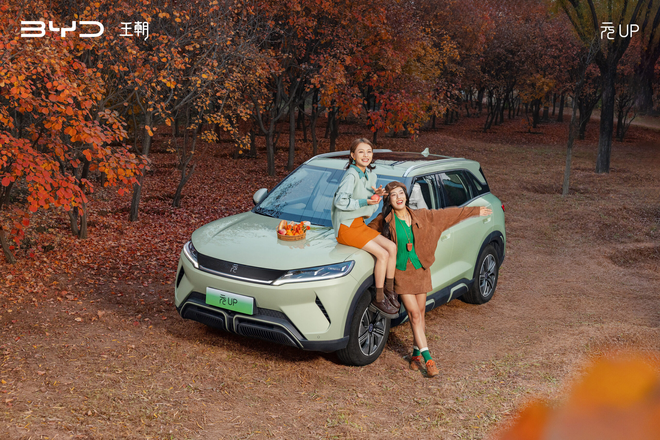 BYD monthly sales surpass 500k with 24% growth in Q3