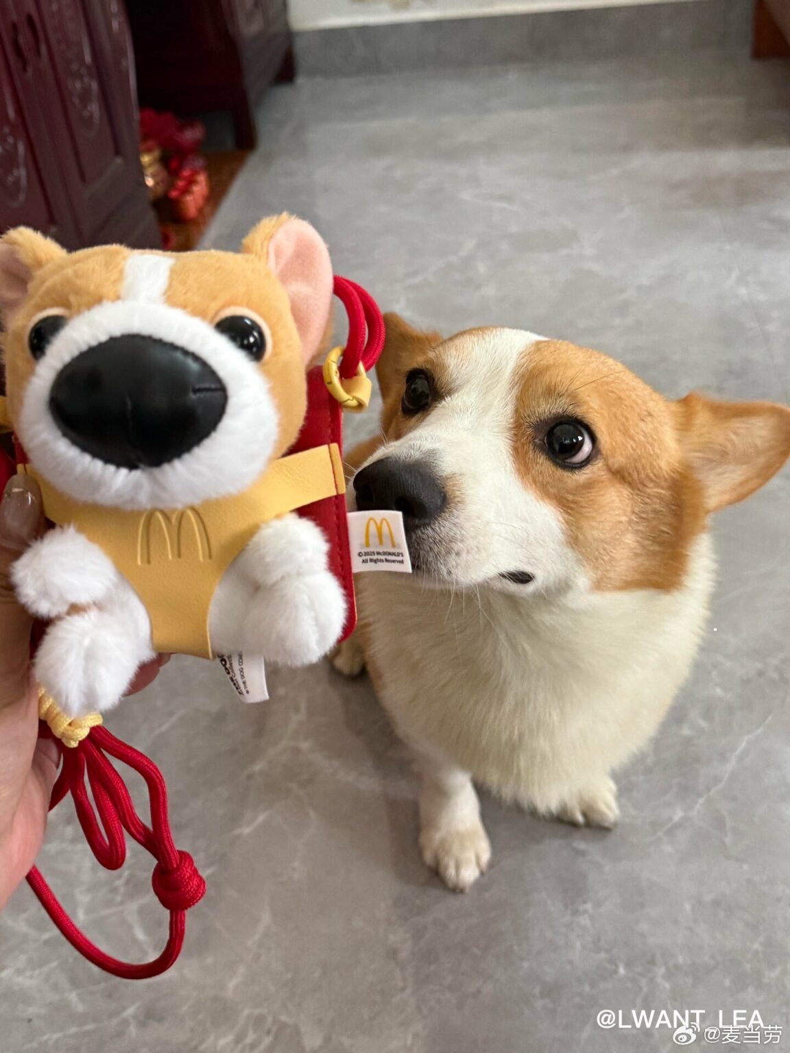 McDonald’s steals LABUBU’s thunder with The Dog collab reissue